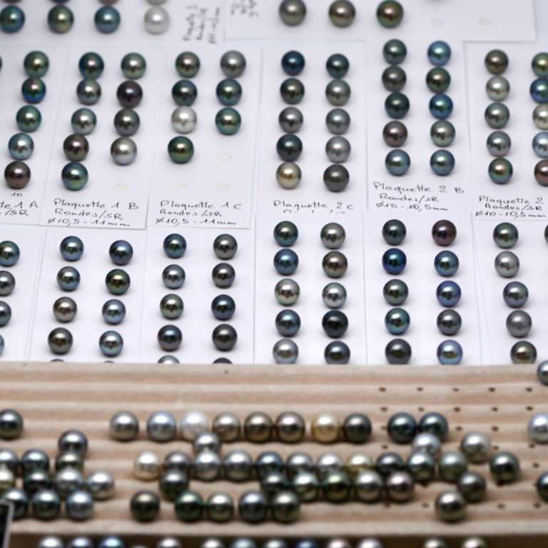 Naissance d’une perle naturelle - perle-tahiti.frperle-tahiti.fr